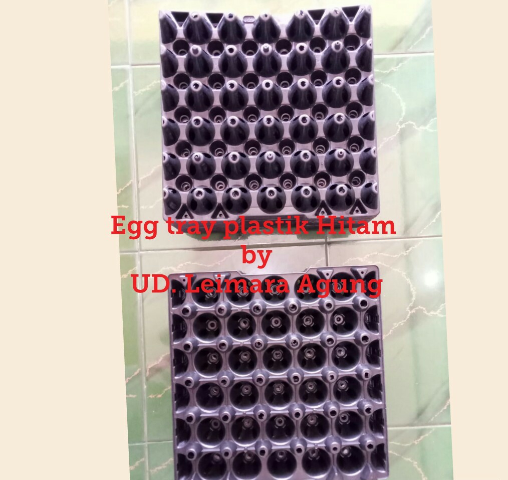 Egg tray plastik Hitam | leimaraagung.com